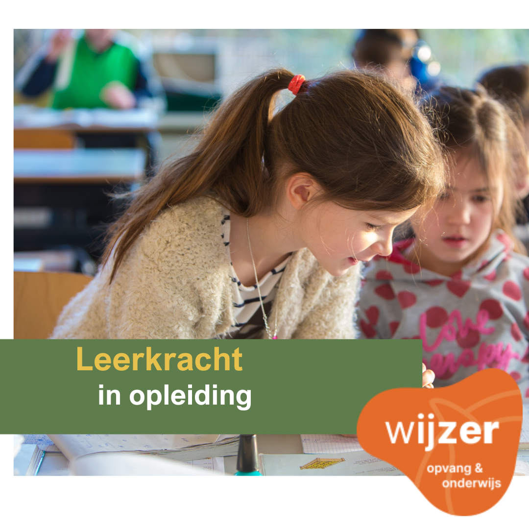 Leerkracht in opleiding (stage 4e jaars PABO studenten)(M/V/X) - Wijzer ...
