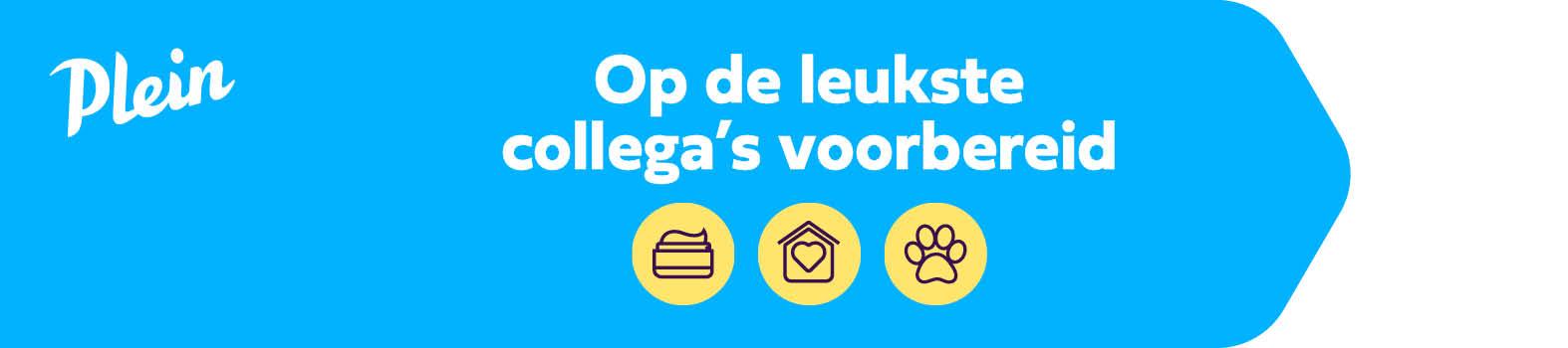 Plein.nl