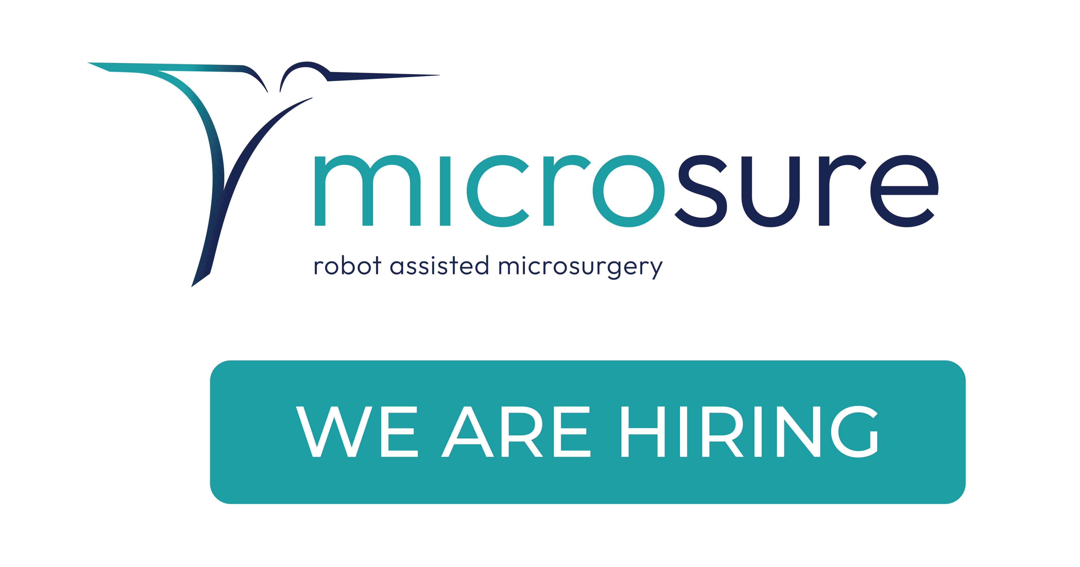 IT Support Engineer Microsure