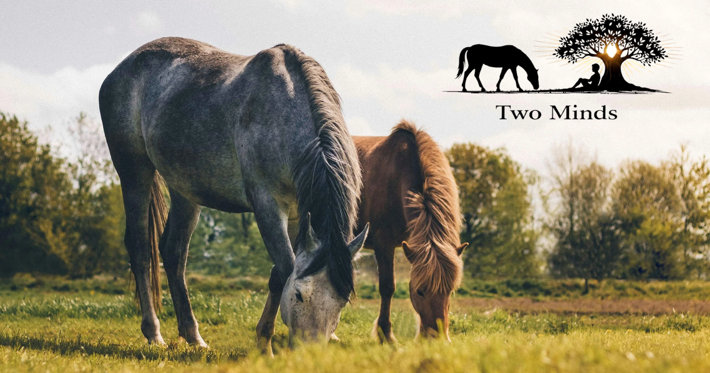 Two Minds Media
